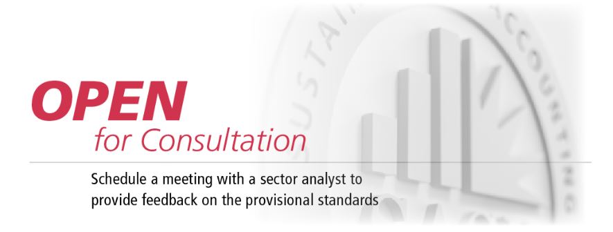 从临时到成文:咨询期更新- SASB - 下载BoB